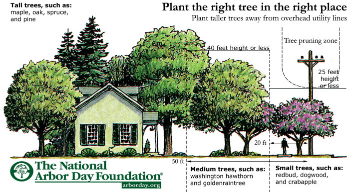 Energy Efficient Landscaping - Waverly Utilities